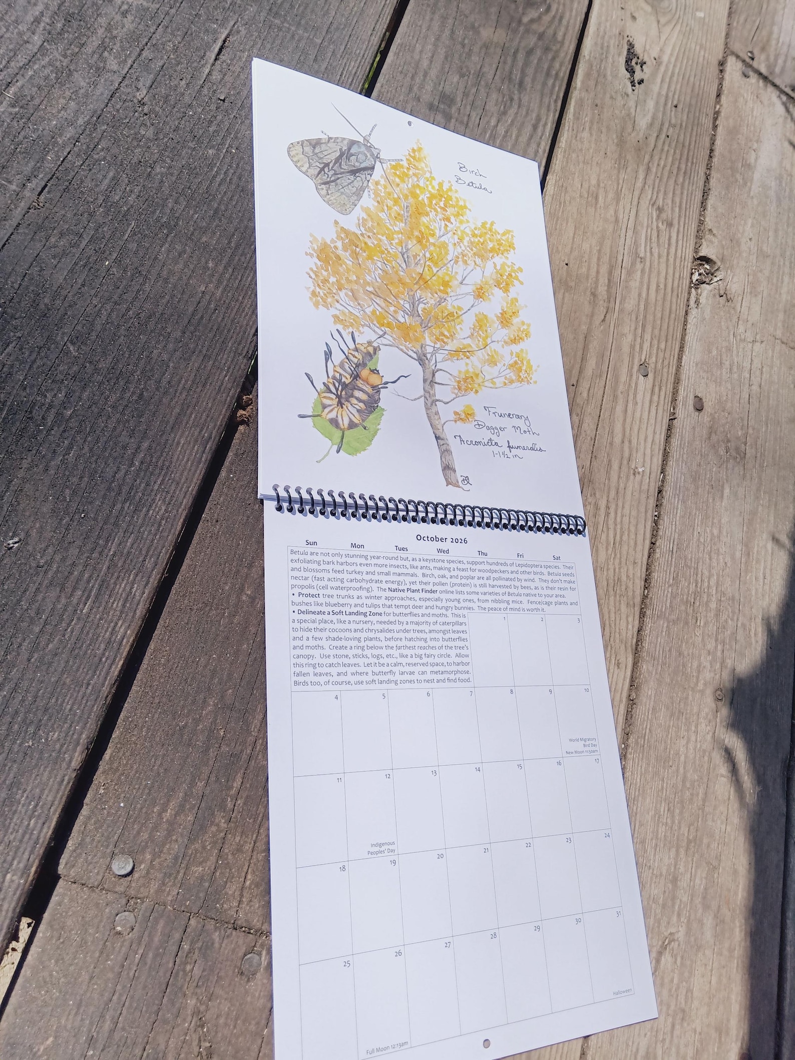 2026 Keystone Species Calendar, a Collaboration With Doug Tallamy - Etsy