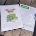 2026 Keystone Species Calendar, a Collaboration With Doug Tallamy - Etsy