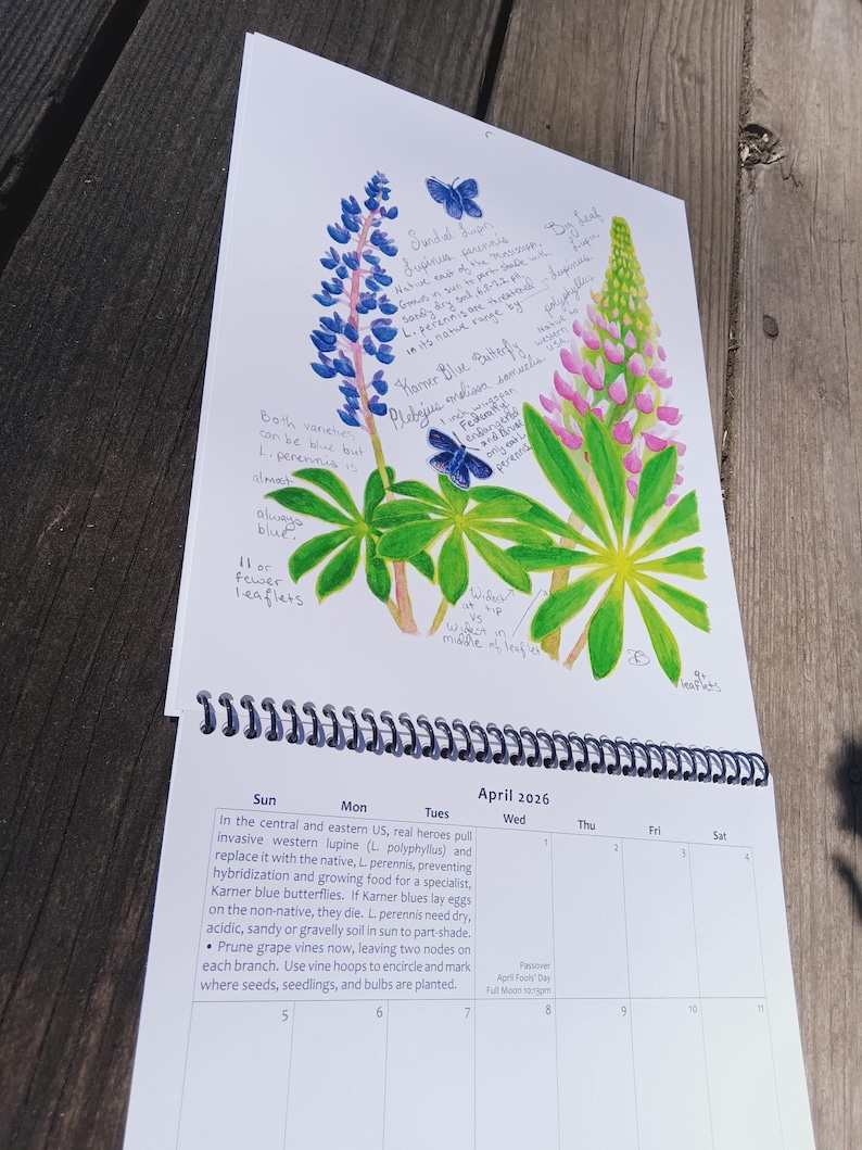 2026 Native Plants and Pollinators Calendar: New England Watercolor Art ...