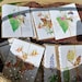 12 Native Plants & Pollinators Cards (all Different) - a Delight for ...