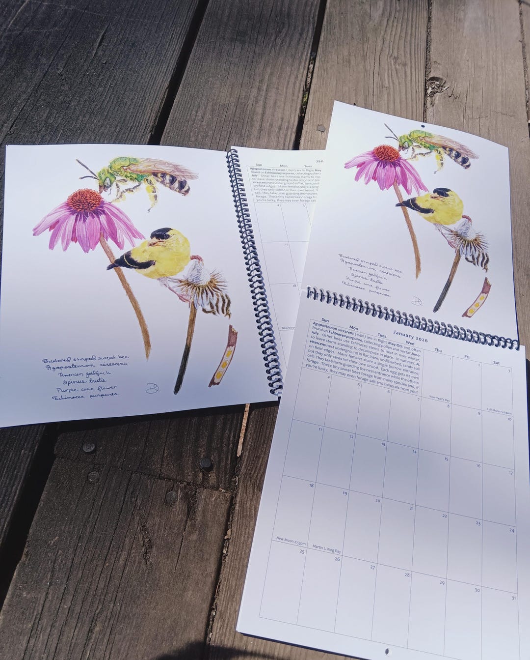 2026 Calendar: the Bees Needs Series With Nicholas Dorian and ...