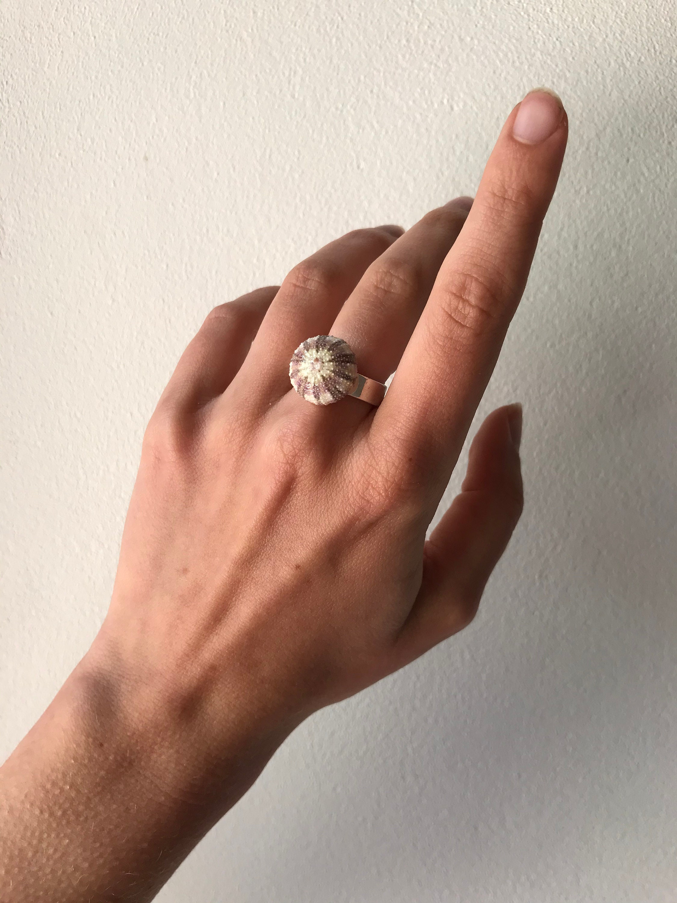 Special Ring With Sea Urchin Special Sea Urchin Ring - Etsy UK