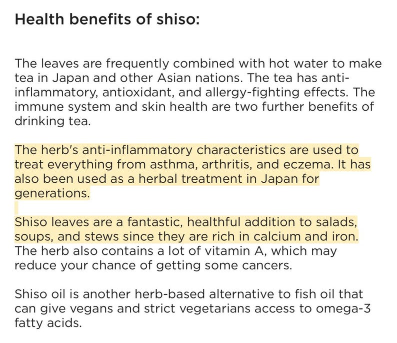 1 Oz Dry Shisho (perilla) Japanese Herb - Etsy