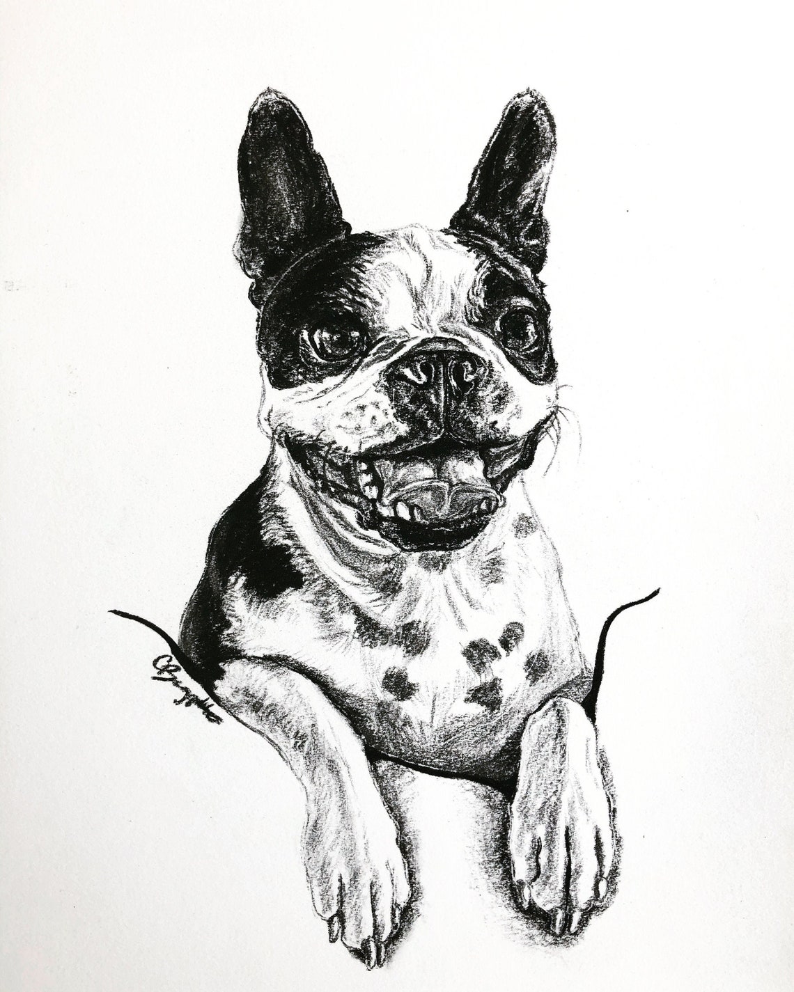 Custom Pet Portrait | Pen and Ink Pet Drawing | Dog Portrait | Cat ...