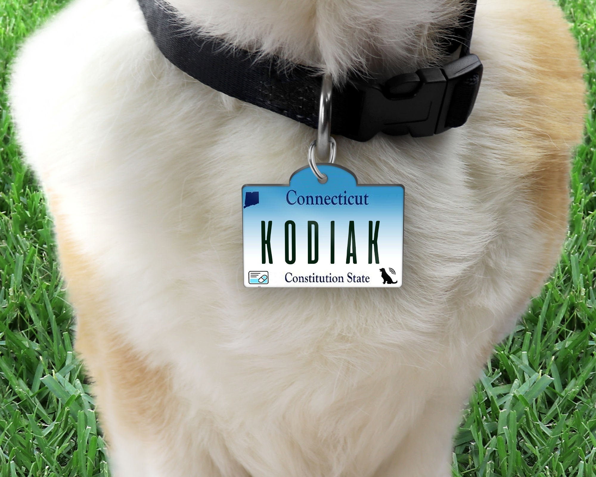 Connecticut State License Plate Custom Pet ID Tag - Etsy España