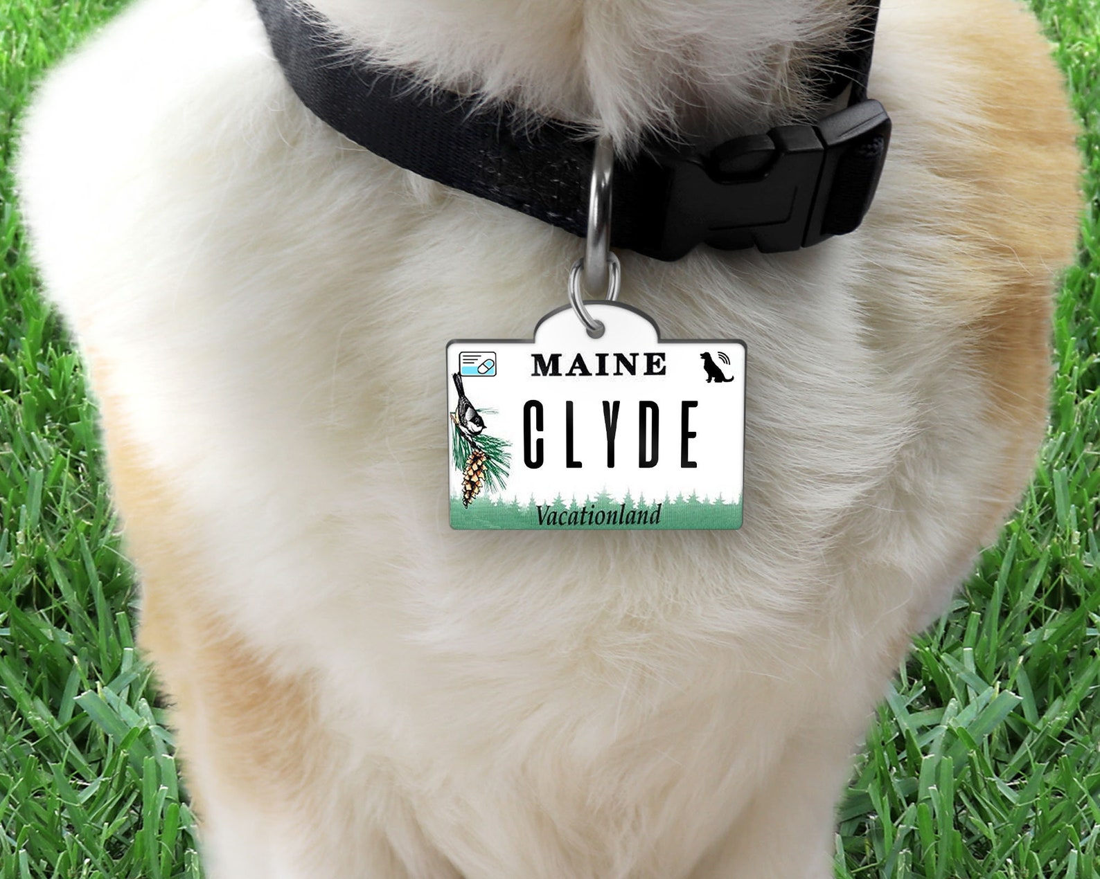 Maine State License Plate Custom Pet ID Tag, Personalized Dog ID Tag ...