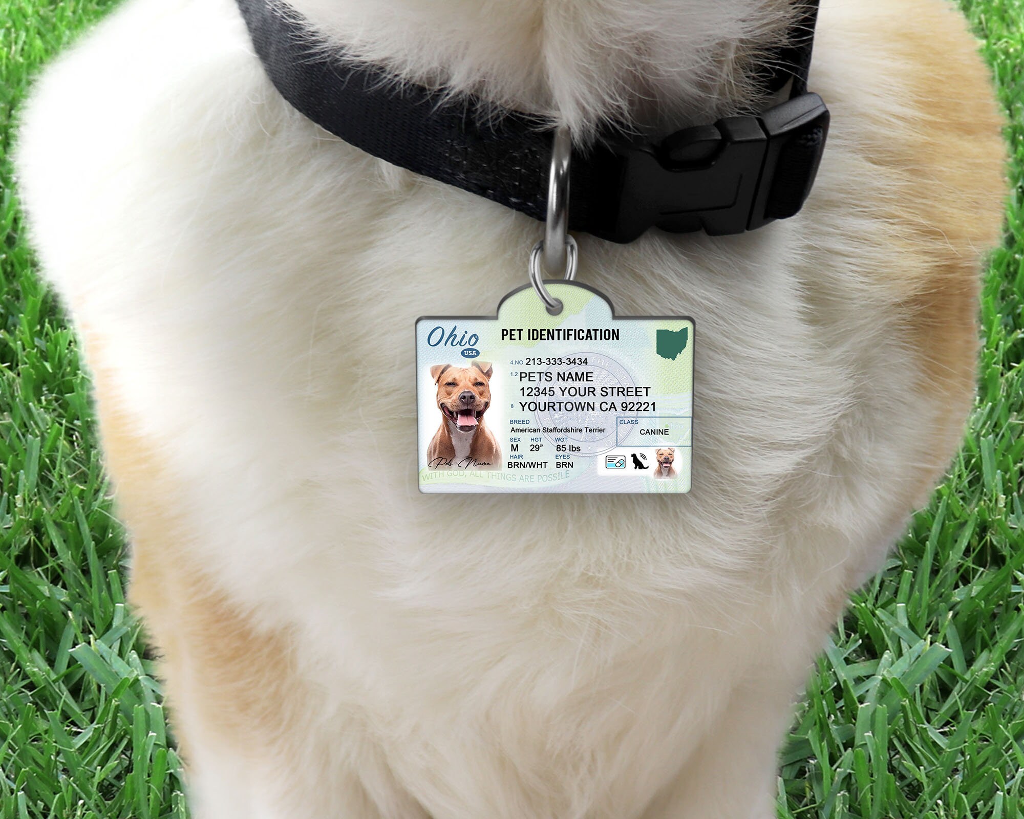 Ohio State Drivers License Custom Pet ID Tag Personalized Dog - Etsy UK