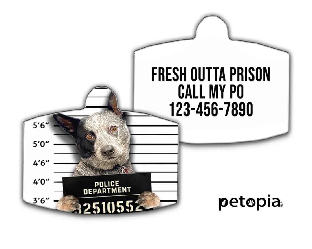 Straight Outta Prison, Call My Parole Officer. Custom Pet ID Tag ...