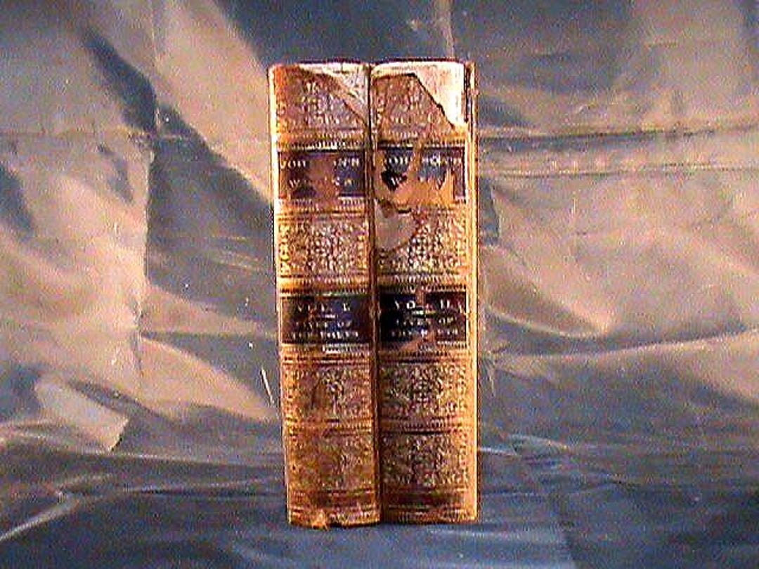 Antique Samuel Johnson Works Lives of the English Poets Complete in Two ...