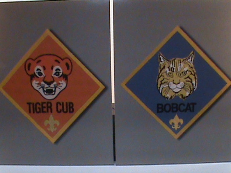 1996 NOS Scout Stuff Cub Scout Insignia Poster Set - Etsy