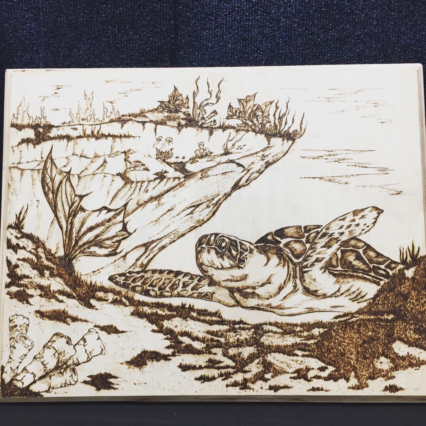 Turtle Pyrography Burn Art - Etsy