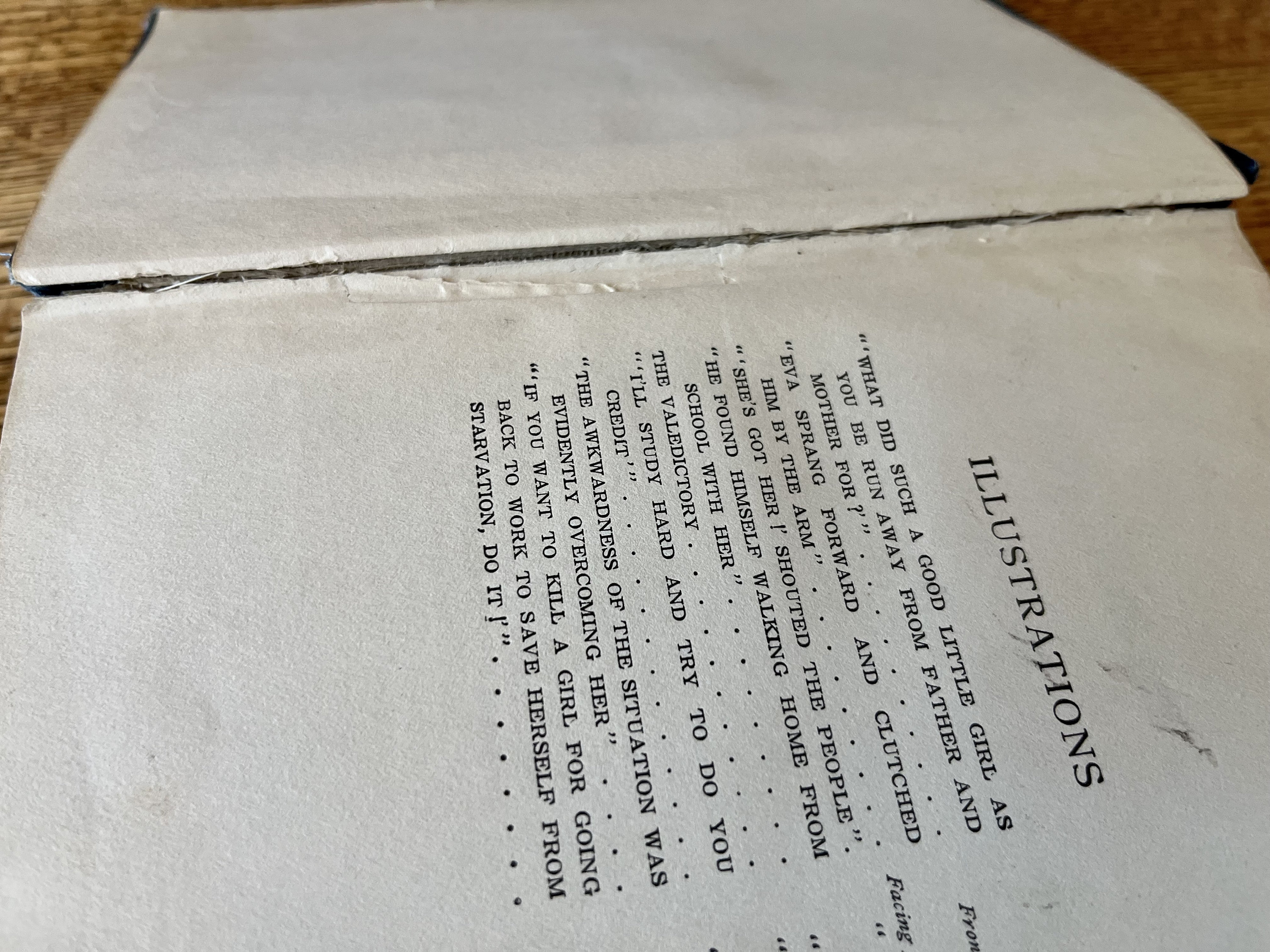 The Portion of Labor by Mary E. Wilkins. Vintage Hardcover Book, 1901 ...