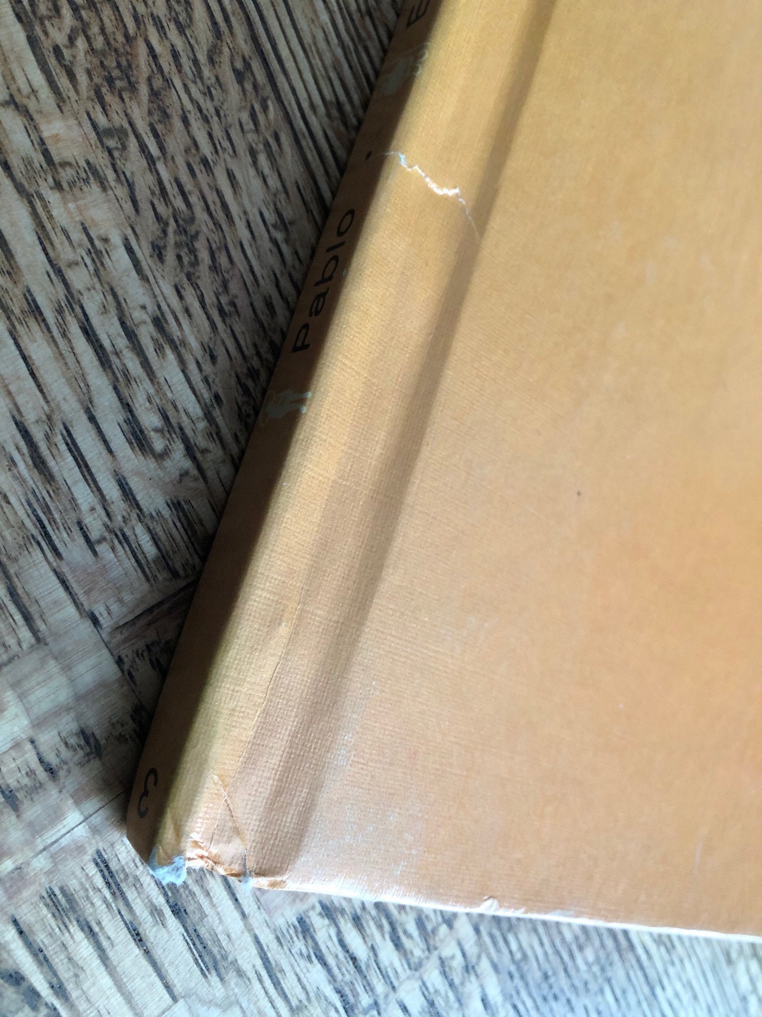 Vintage Book: my Fun-to-read Books Pablo, Boy of MEXICO, ESKIMO Family ...