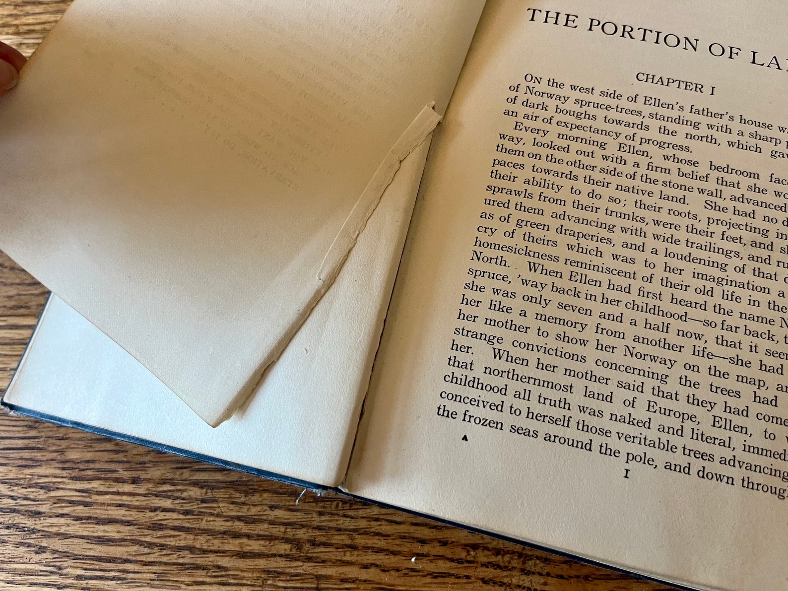 The Portion of Labor by Mary E. Wilkins. Vintage Hardcover Book, 1901 ...
