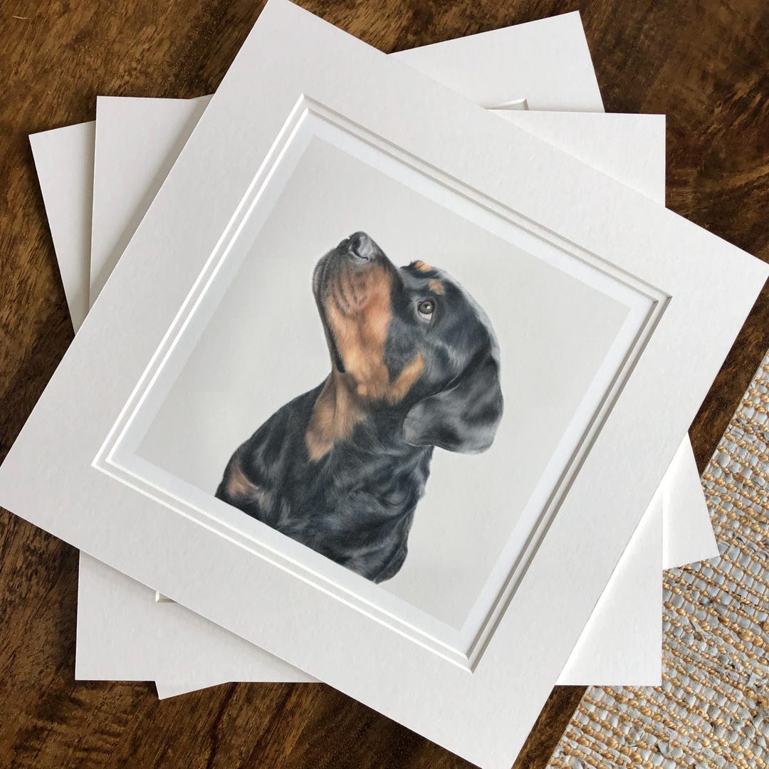 Rotty Rottweiler Pet Portrait Wall Art Print - Hand Drawing - Fine Art ...