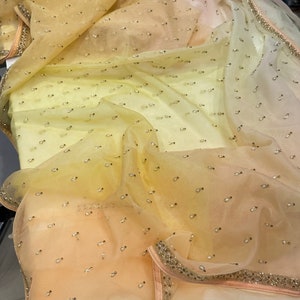 Shaded Organza Moti Embroidery Saree - Etsy