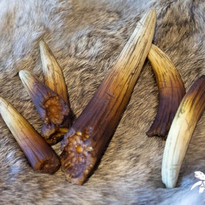 Foam Claws Pack: Fantasy LARP Prop, DIY Costume Accessory - Etsy