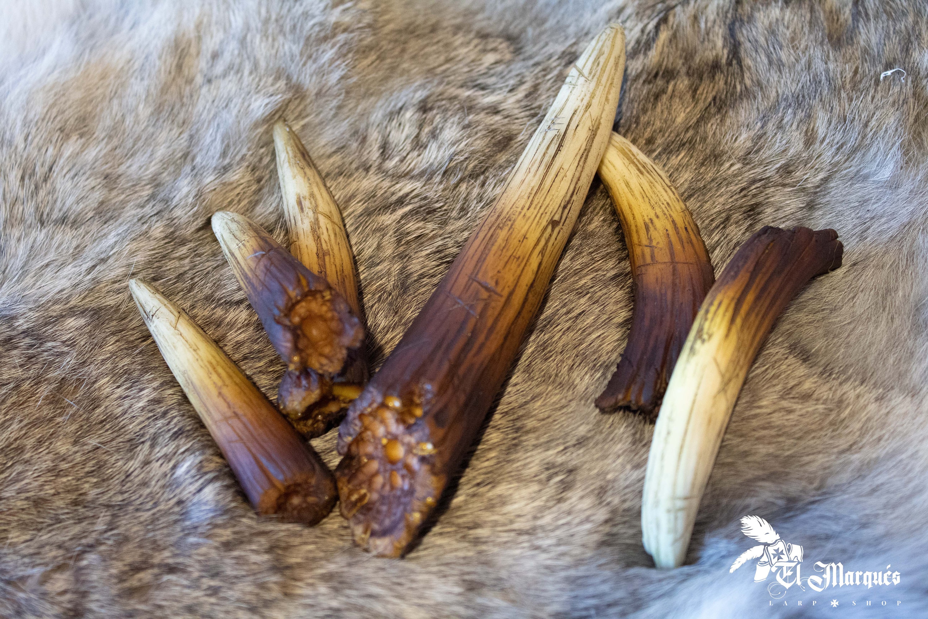 Foam Claws Pack: Fantasy LARP Prop, DIY Costume Accessory - Etsy