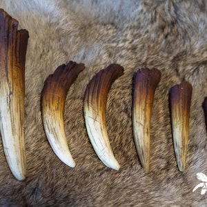 Foam Claws Pack: Fantasy LARP Prop, DIY Costume Accessory - Etsy