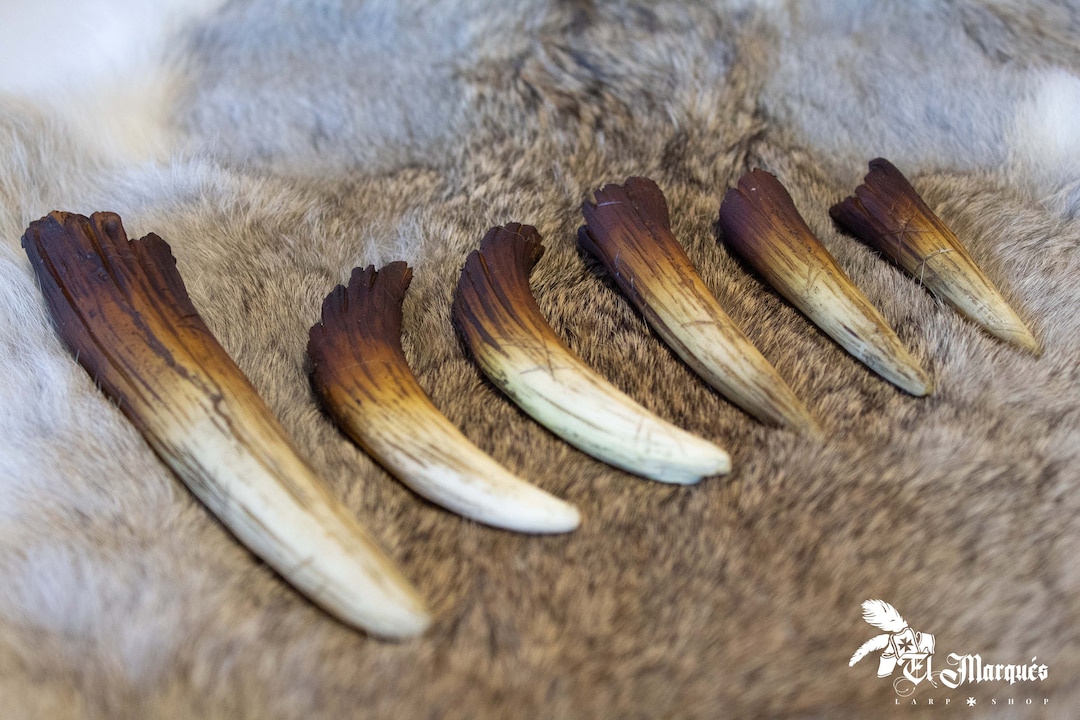 Foam Claws Pack: Fantasy LARP Prop, DIY Costume Accessory - Etsy