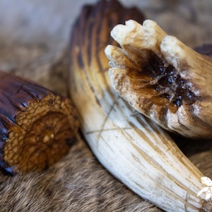 Foam Claws Pack: Fantasy LARP Prop, DIY Costume Accessory - Etsy