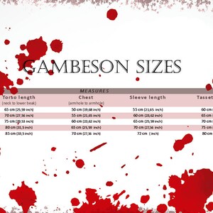 FULL SET Witcher Amor. Fantasy Armor, Leathr Armor With Gambeson Red or ...