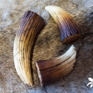 Foam Claws Pack: Fantasy LARP Prop, DIY Costume Accessory - Etsy