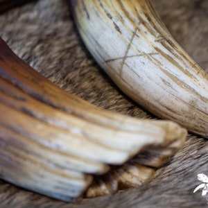 Foam Claws Pack: Fantasy LARP Prop, DIY Costume Accessory - Etsy