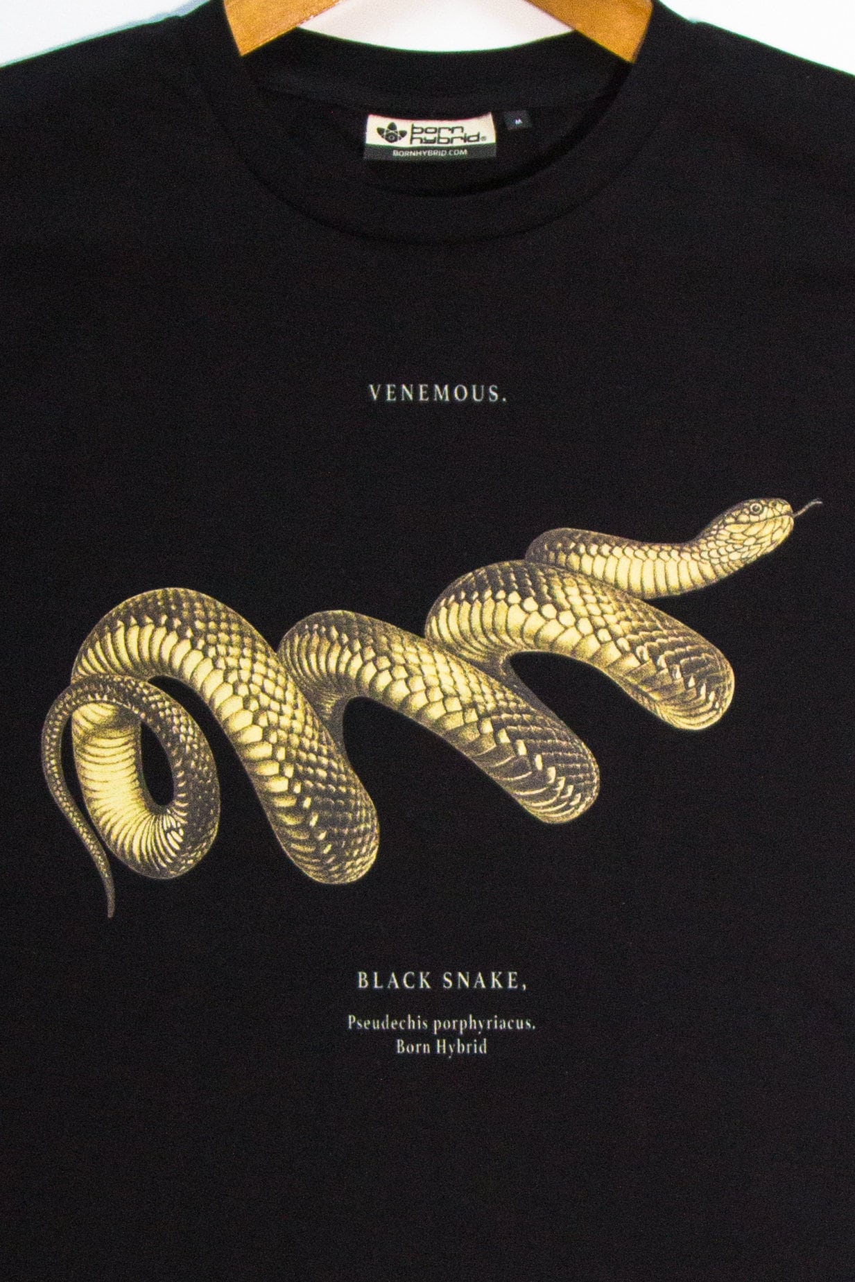 Snake Tshirt, Vintage Style Zoology T Shirt, Organic Cotton Tee, Eco ...
