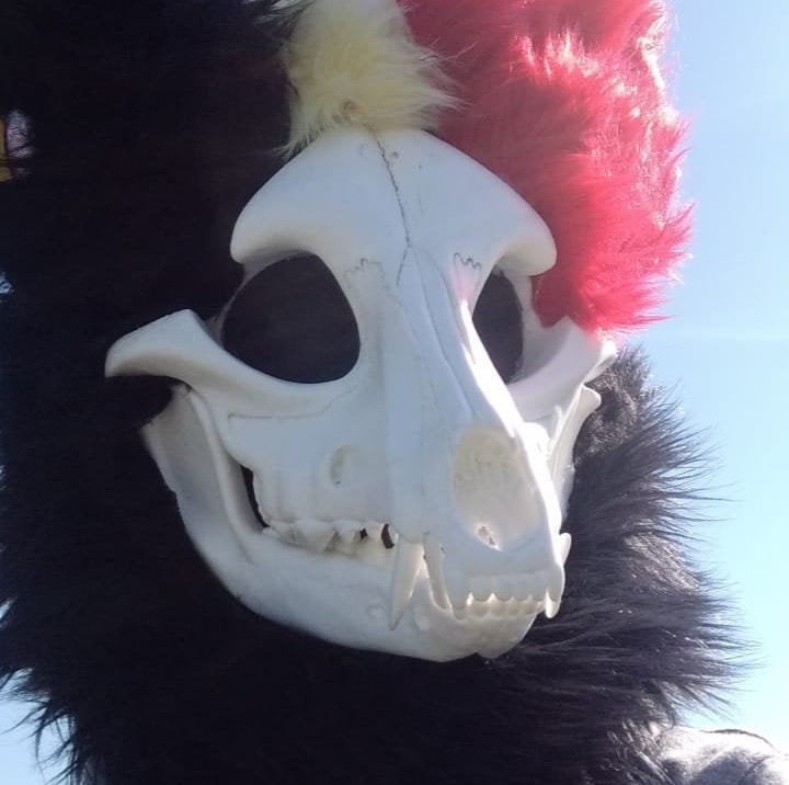 SEMICLOSED Skulldog Fursuit Head Commissions DM ME First - Etsy Hong Kong