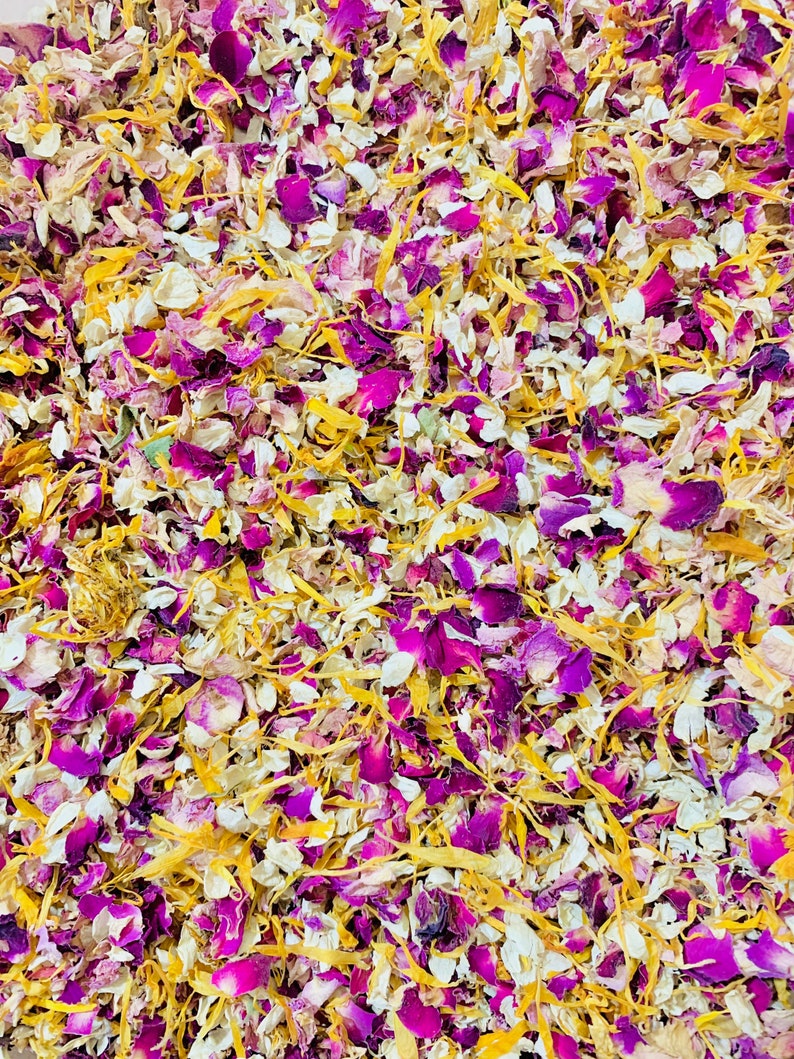 Burgundy Rose & Jasmine Wedding Confetti | 1 Litre Biodegradable Petals ...