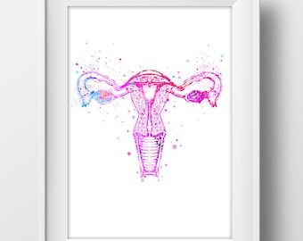 Female Reproductive System Poster Printable Set of 2 Med - Etsy