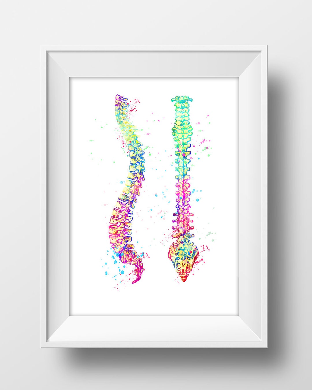 Spine Art Watercolor Spinal Column Line Anatomy Poster Medical Art ...
