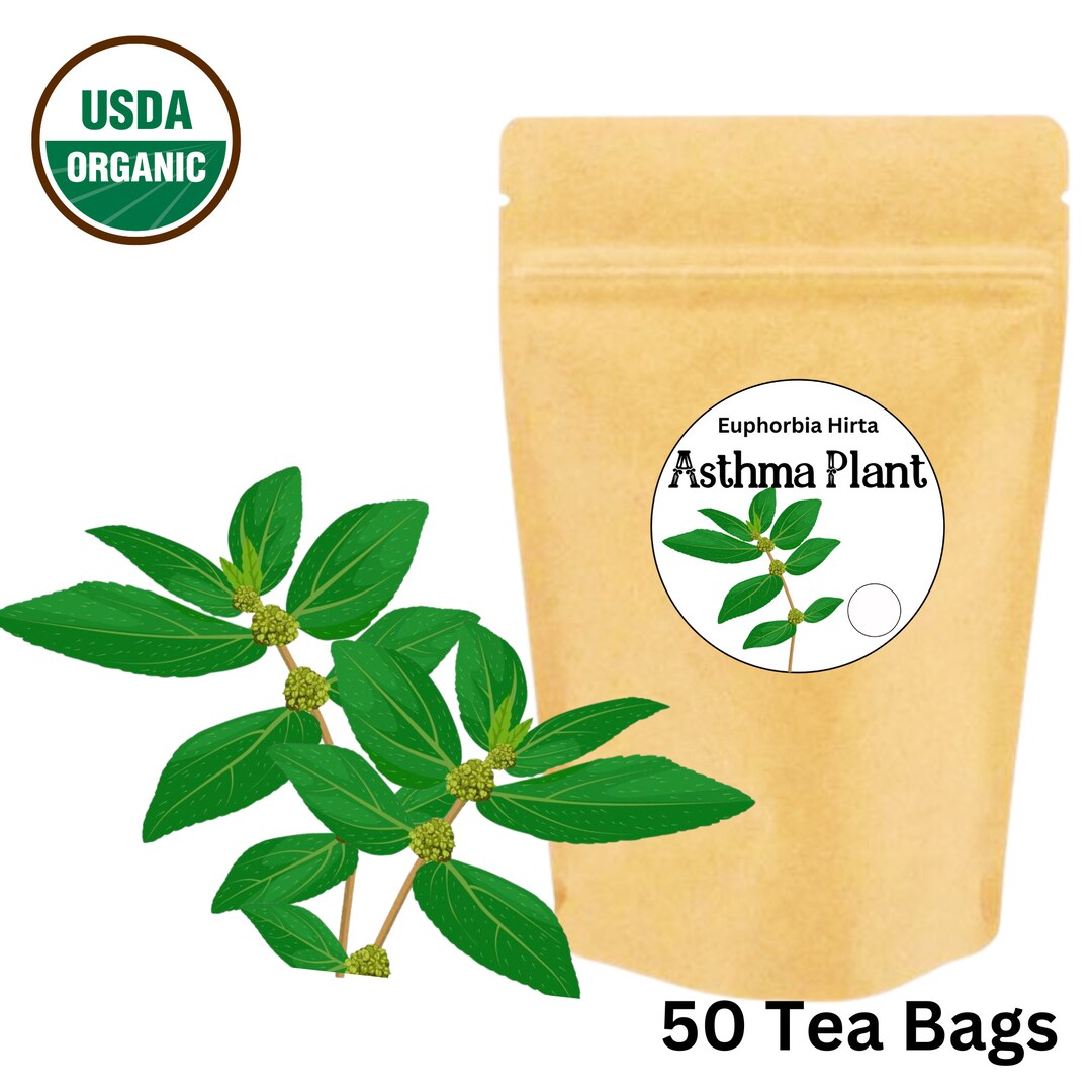 Euphorbia Hirta Extract Tea Bags Dried Asthma Plant Chan Garden Spurge ...