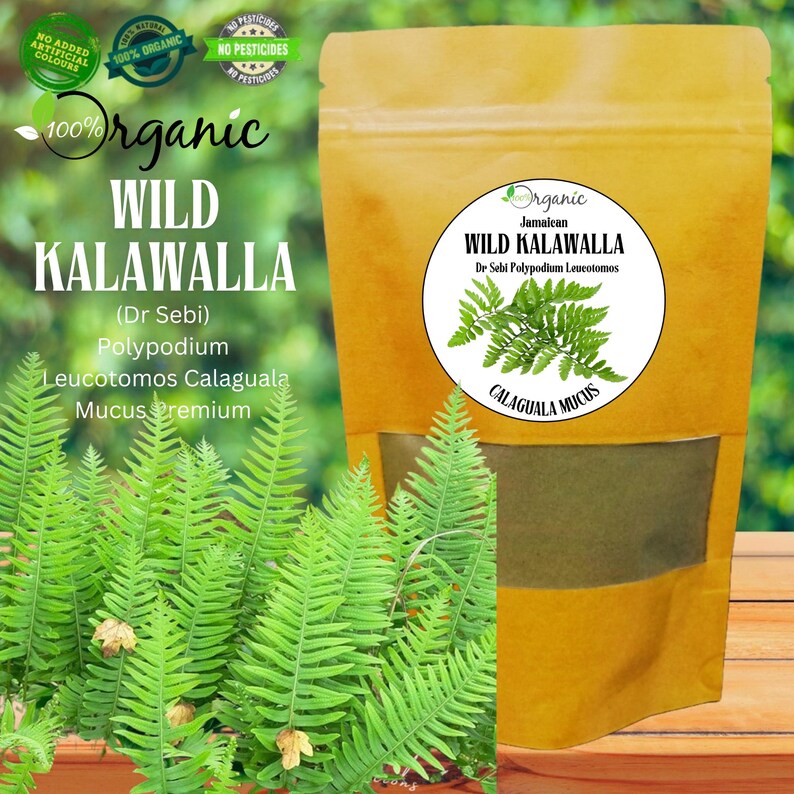Wild Kalawalla Polypodium Leucotomos Calaguala Mucus Premium KALAWALLA ...