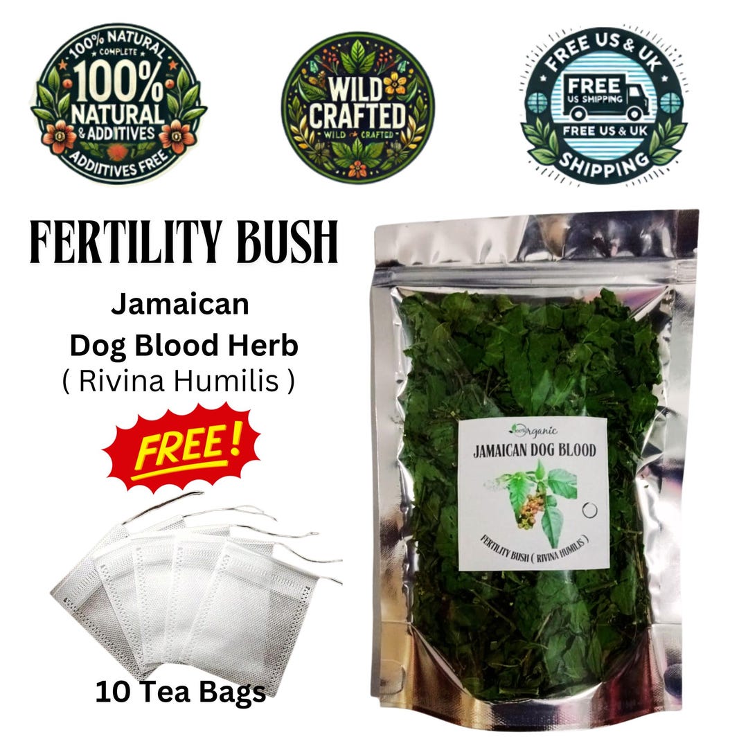 Fertility Bush ( Rivina Humilis ) | Fresh Green Leaves Dog Blood Herb ...