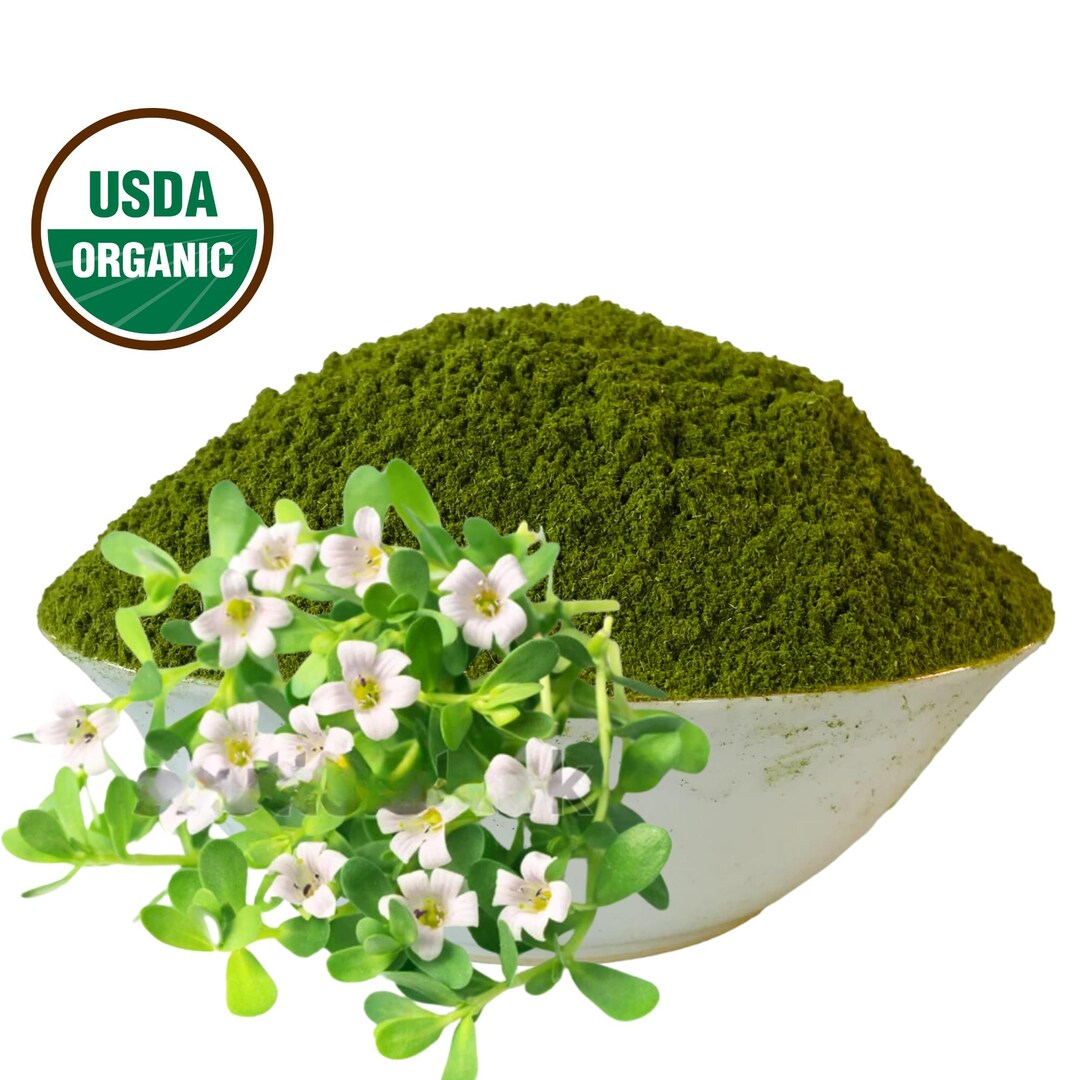 Brahmi Dried Herb Bacopa Monnieri Natural Herbal Tea Brain Booster for ...