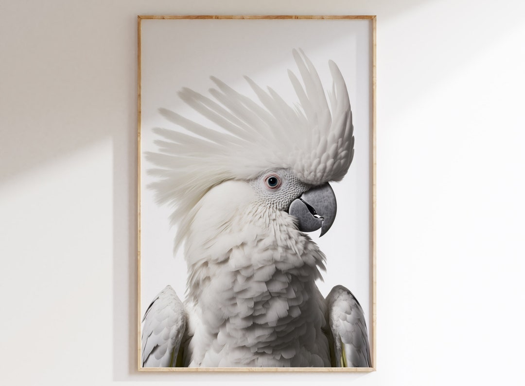 White Cockatoo Print, Printable White Parrot Wall Art, Digital Download ...
