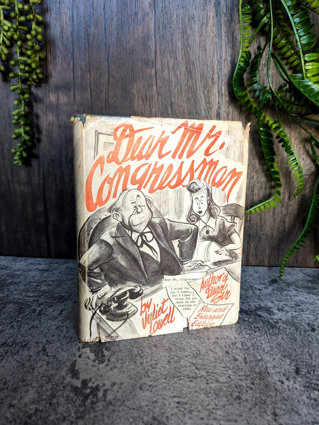 Dear Mr Congressman 1954 by Juliet Lowell - Vintage Political Satire ...