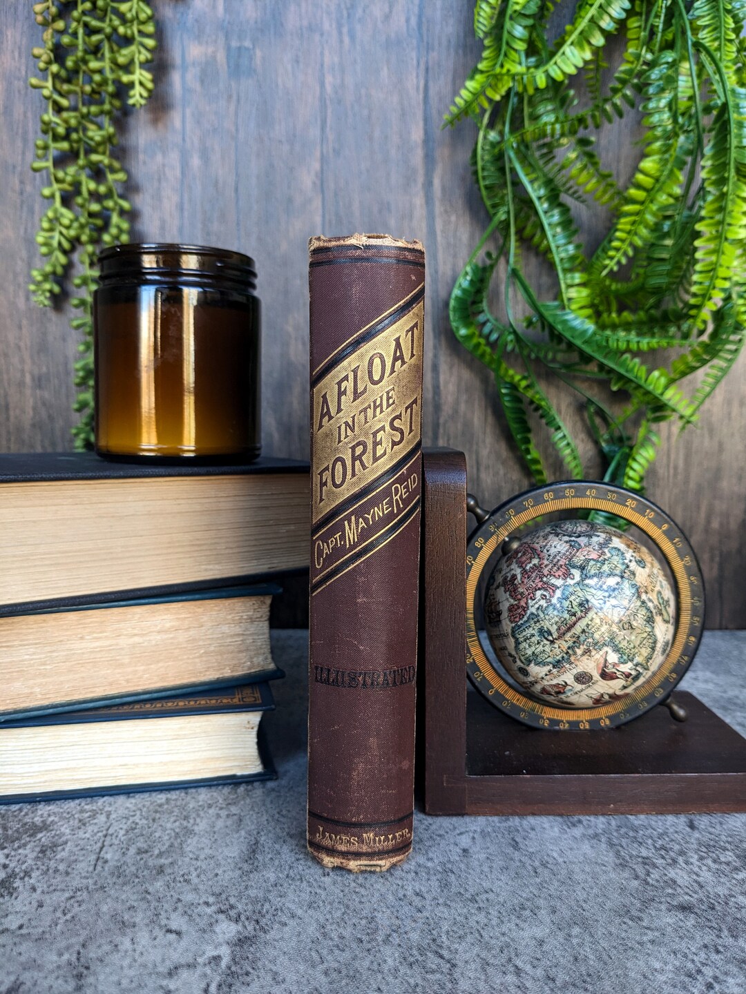 Afloat in the Forest or A Voyage Among the Tree-tops 1880 Captain Mayne Reid - Antique ...