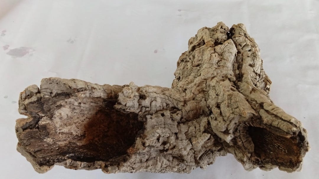 Cork Tube, Cork, Cork Bark, Natural Product, Terrarium, Decoration ...