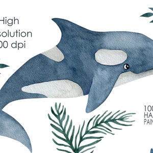 Watercolor Arctic Animals Clipart, Cute Polar Bear, Seal, Penguin ...