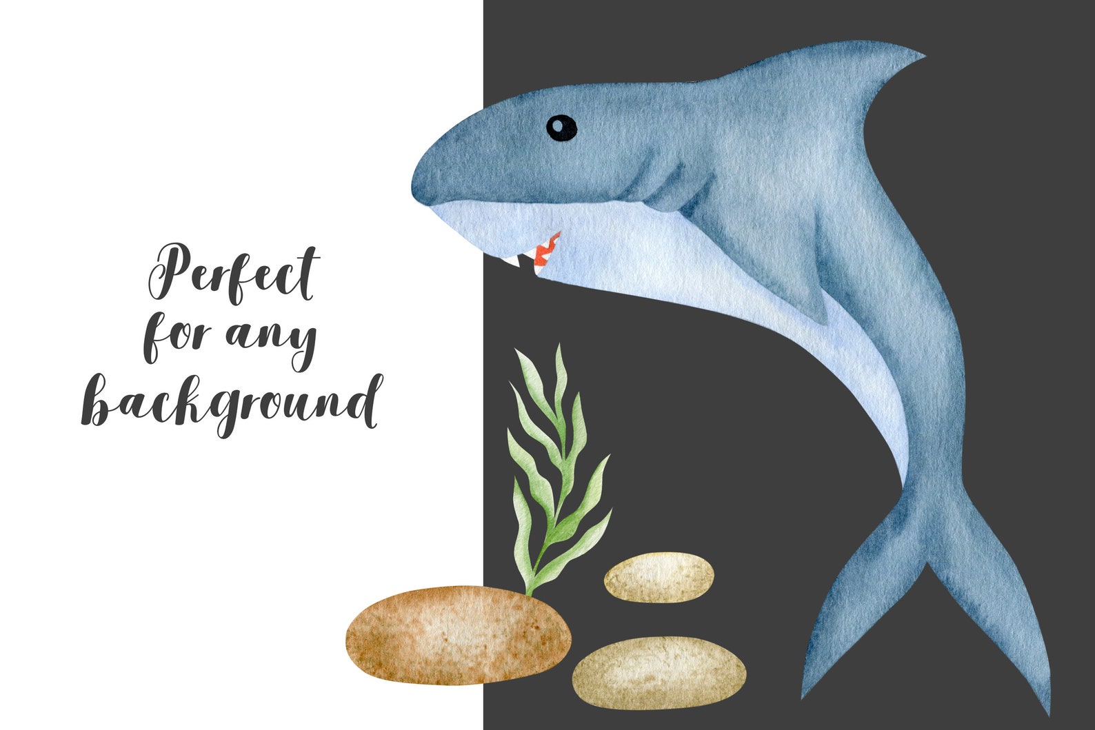 Watercolor Shark Clipart Ocean Life Sea Animals Instant - Etsy