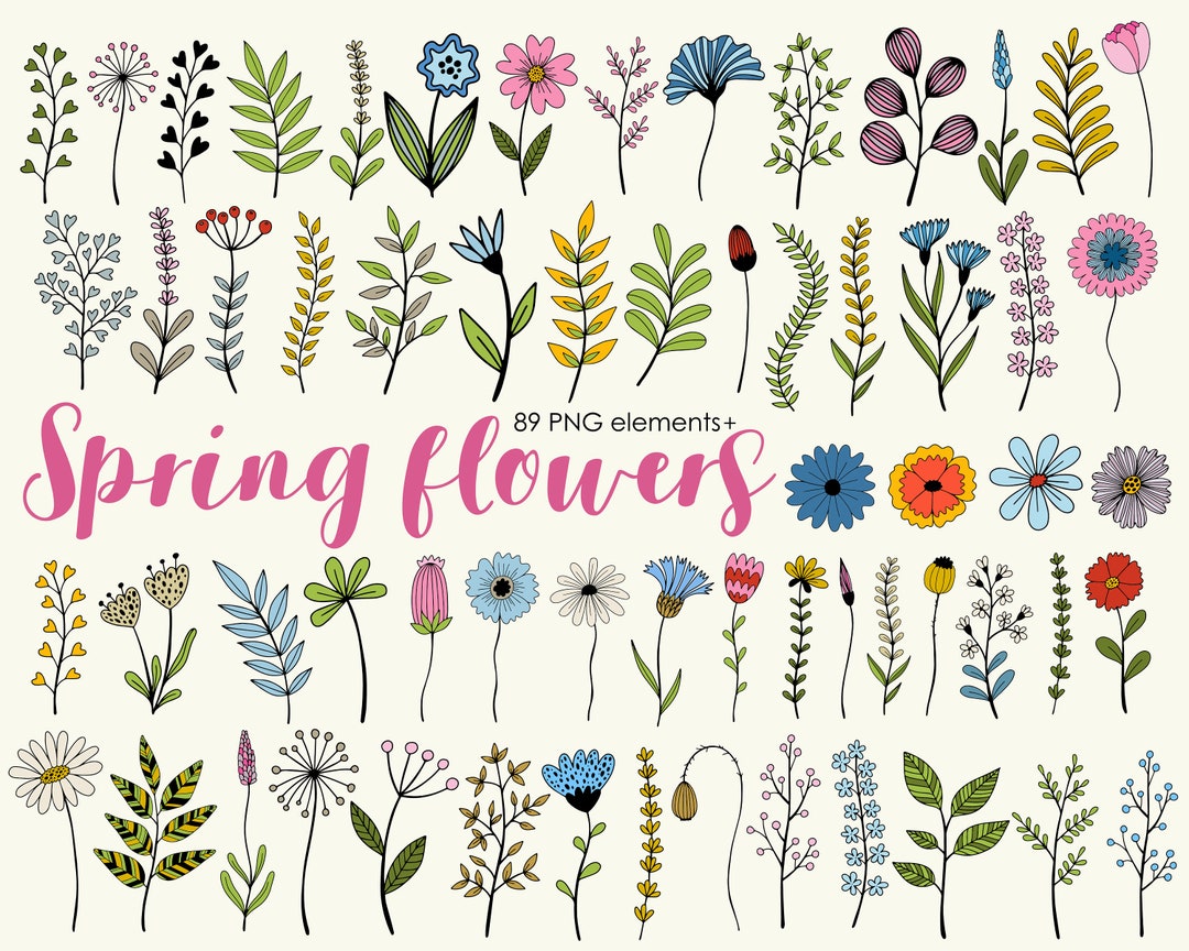 Botanical Line Art Clipart, Minimalistic Line Flowers, Collection ...