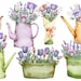 Watercolor Tulip Clipart, Mother's Day Decor, Tulip Compositions ...