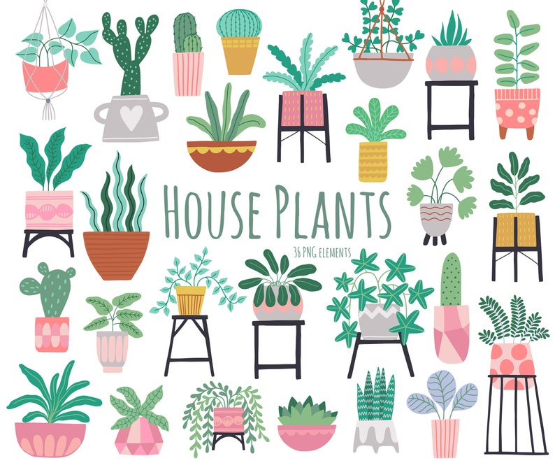 House Plant Clipart, Greenery Clipart, Succulent Clipart, Cactus ...