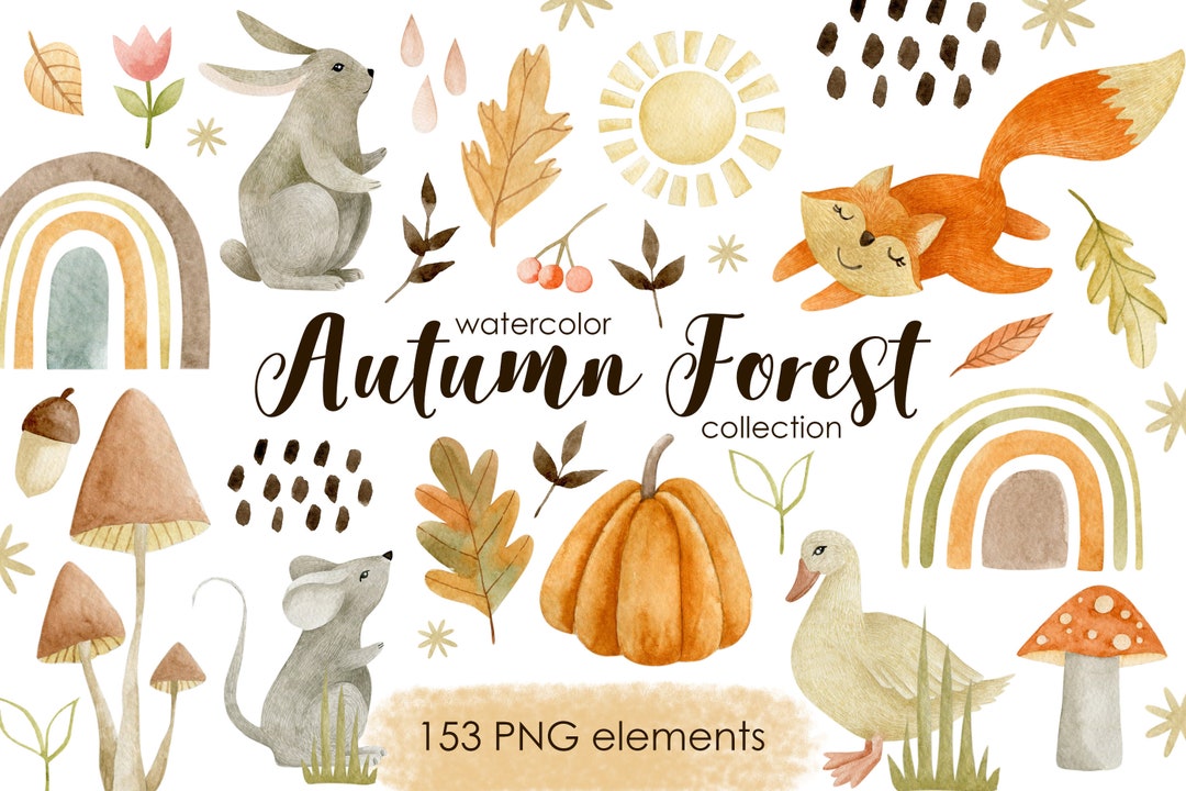 Watercolor Autumn Forest Clipart: Woodland Animals Graphics (PNG) - Etsy