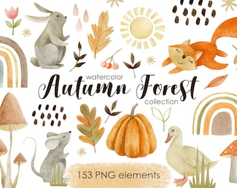 Watercolor Autumn Forest Clipart: Woodland Animals Graphics (PNG) - Etsy