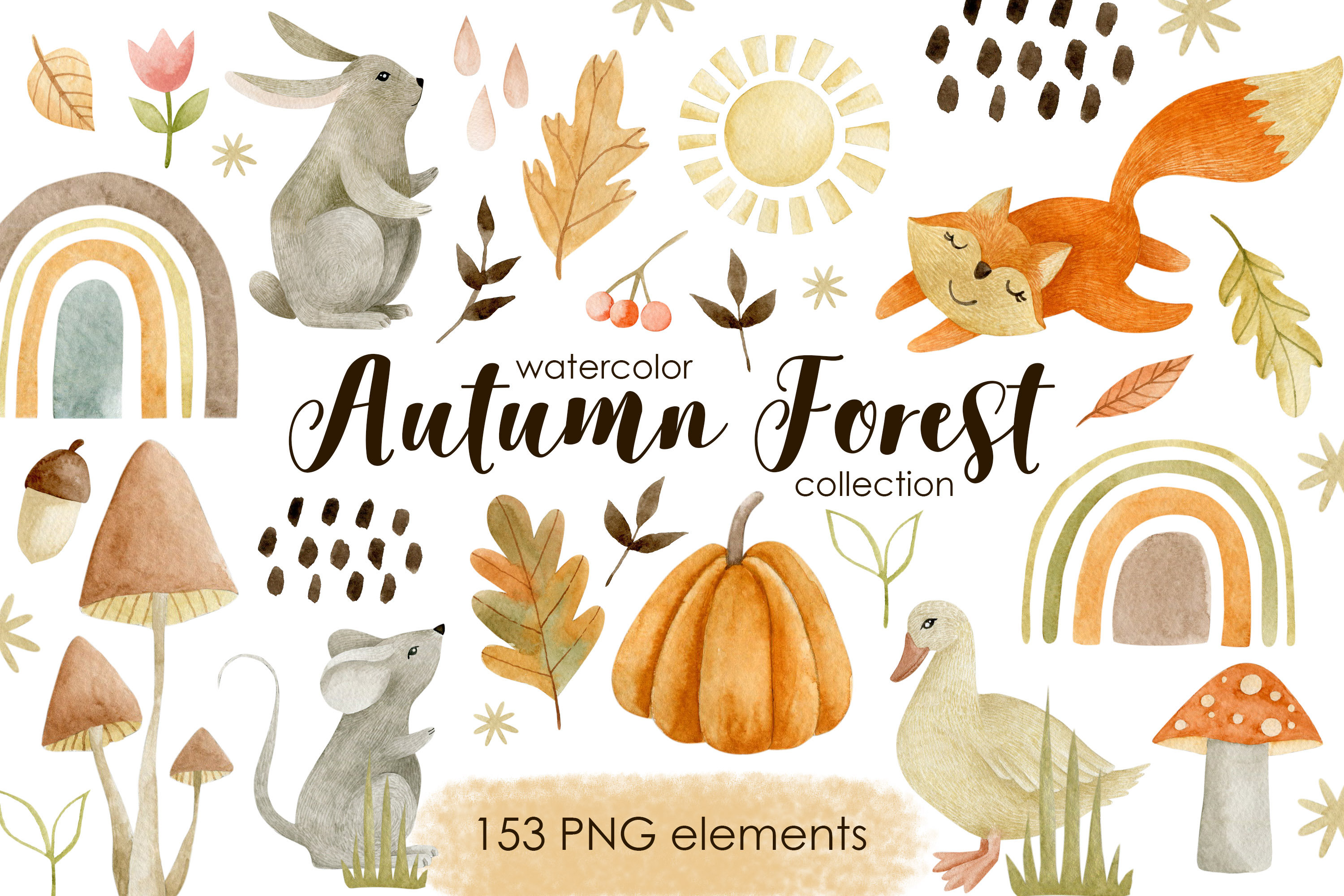 Watercolor Autumn Forest Clipart, Mushroom Clipart, Fall Clipart ...