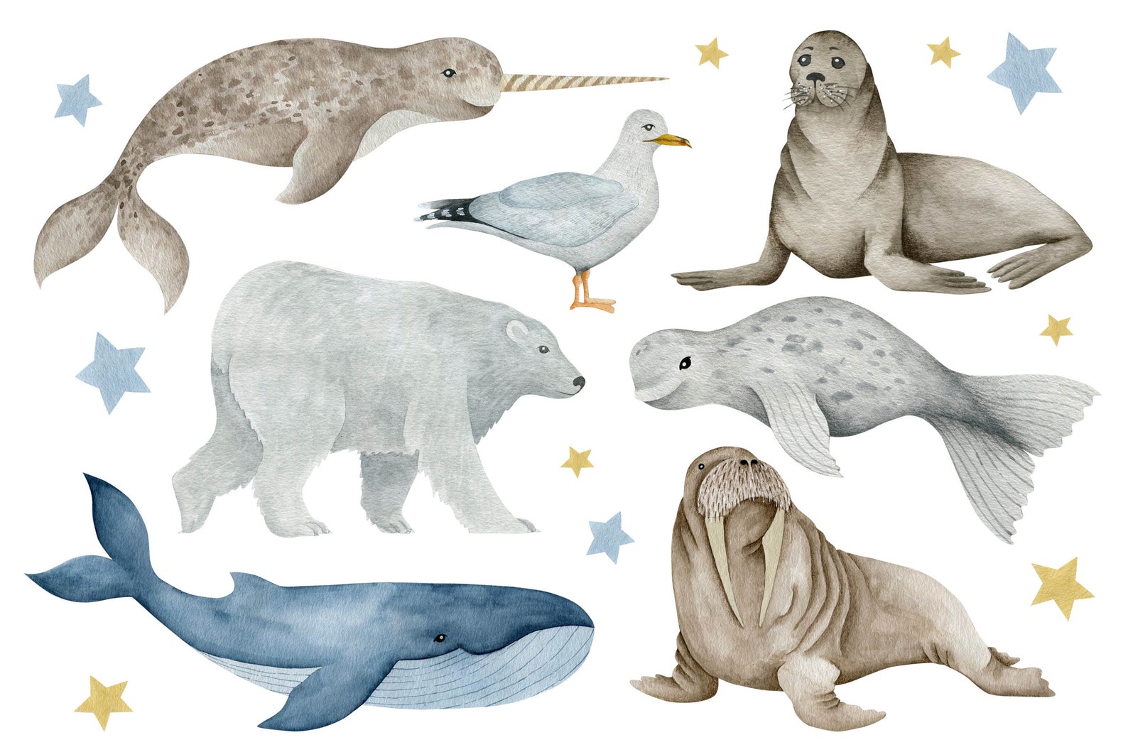 Watercolor Arctic Animals Clipart Cute Polar Bear Seal - Etsy